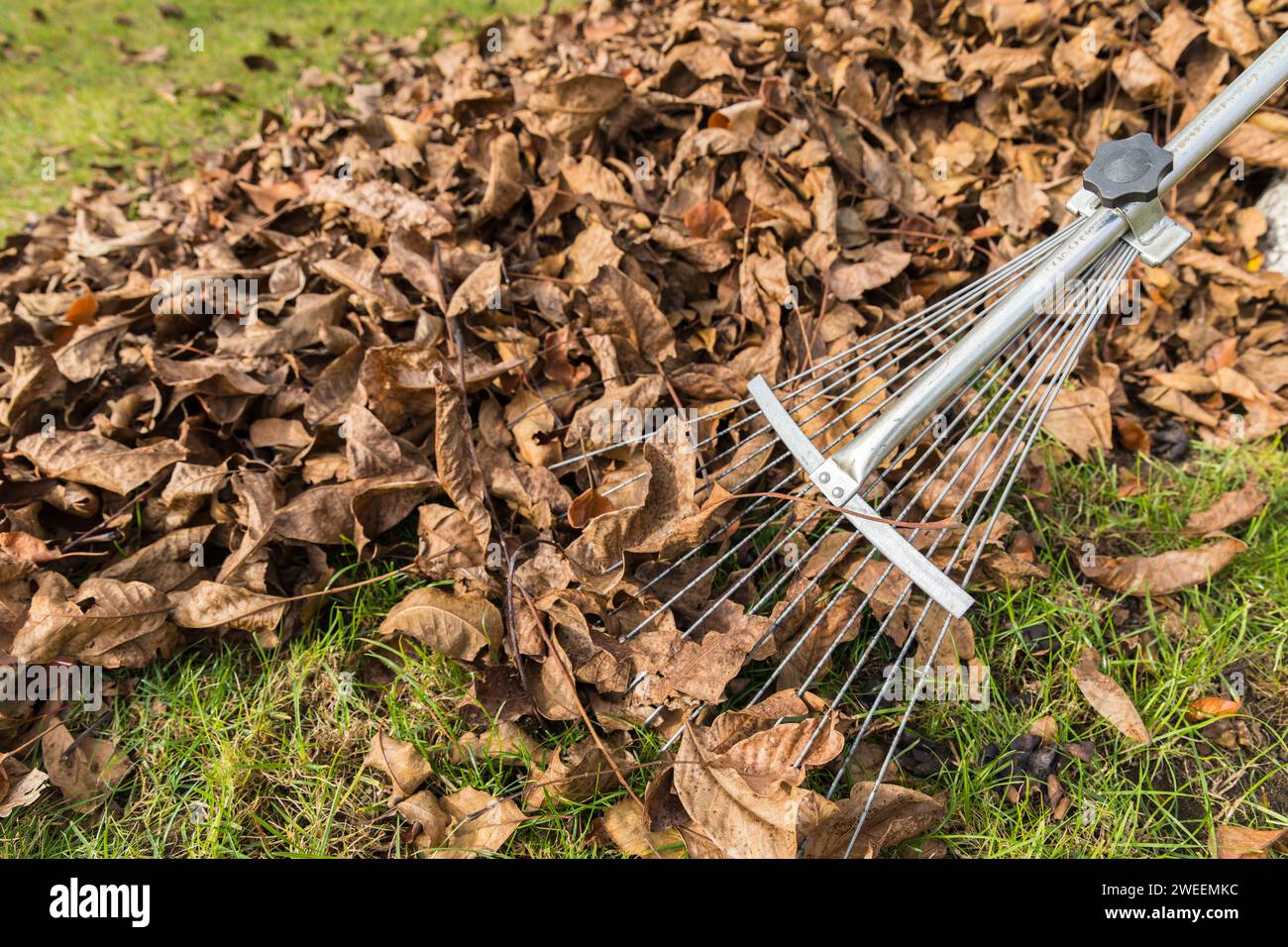 Fall garden mulch hi-res stock photography and images - Alamy