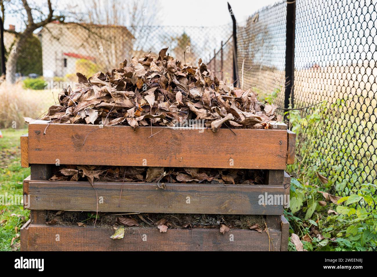 A composter made of wooden boards filled with dry leaves Stock Photo ...