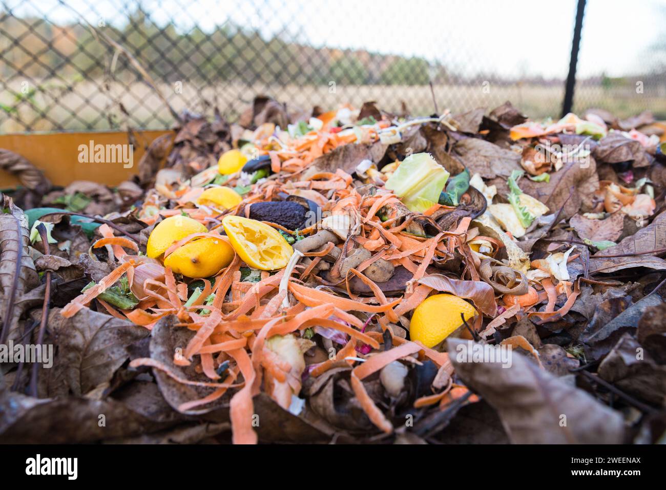 A composter made of wooden boards filled with bio-waste from the ...