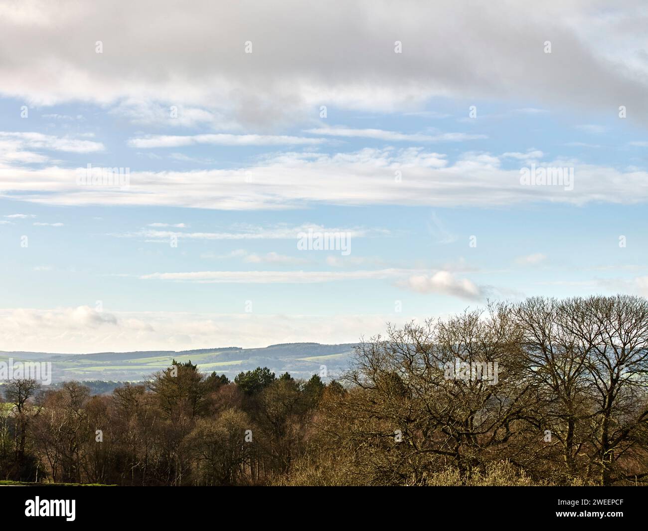 Wooded countryside with blue skies Stock Photo - Alamy