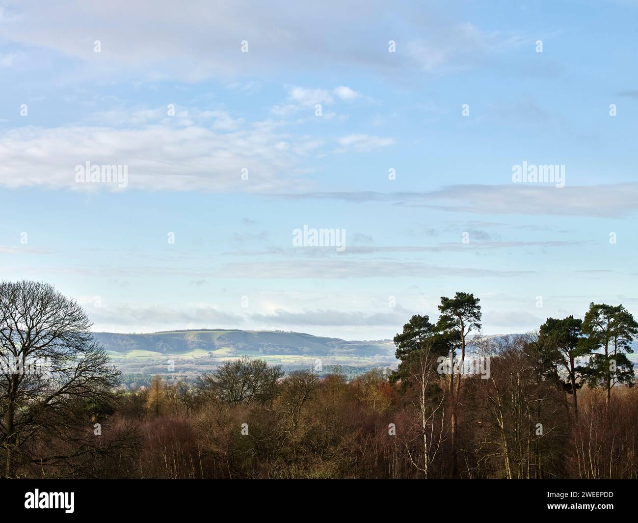 Wooded countryside with blue skies Stock Photo - Alamy