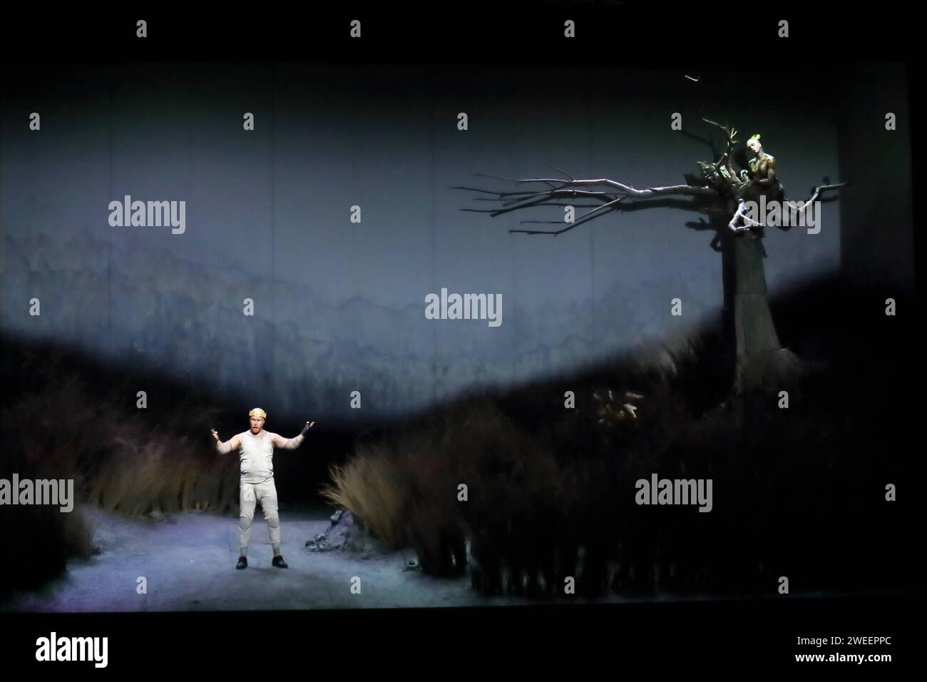 Daniel ojeda yrureta hi-res stock photography and images - Alamy