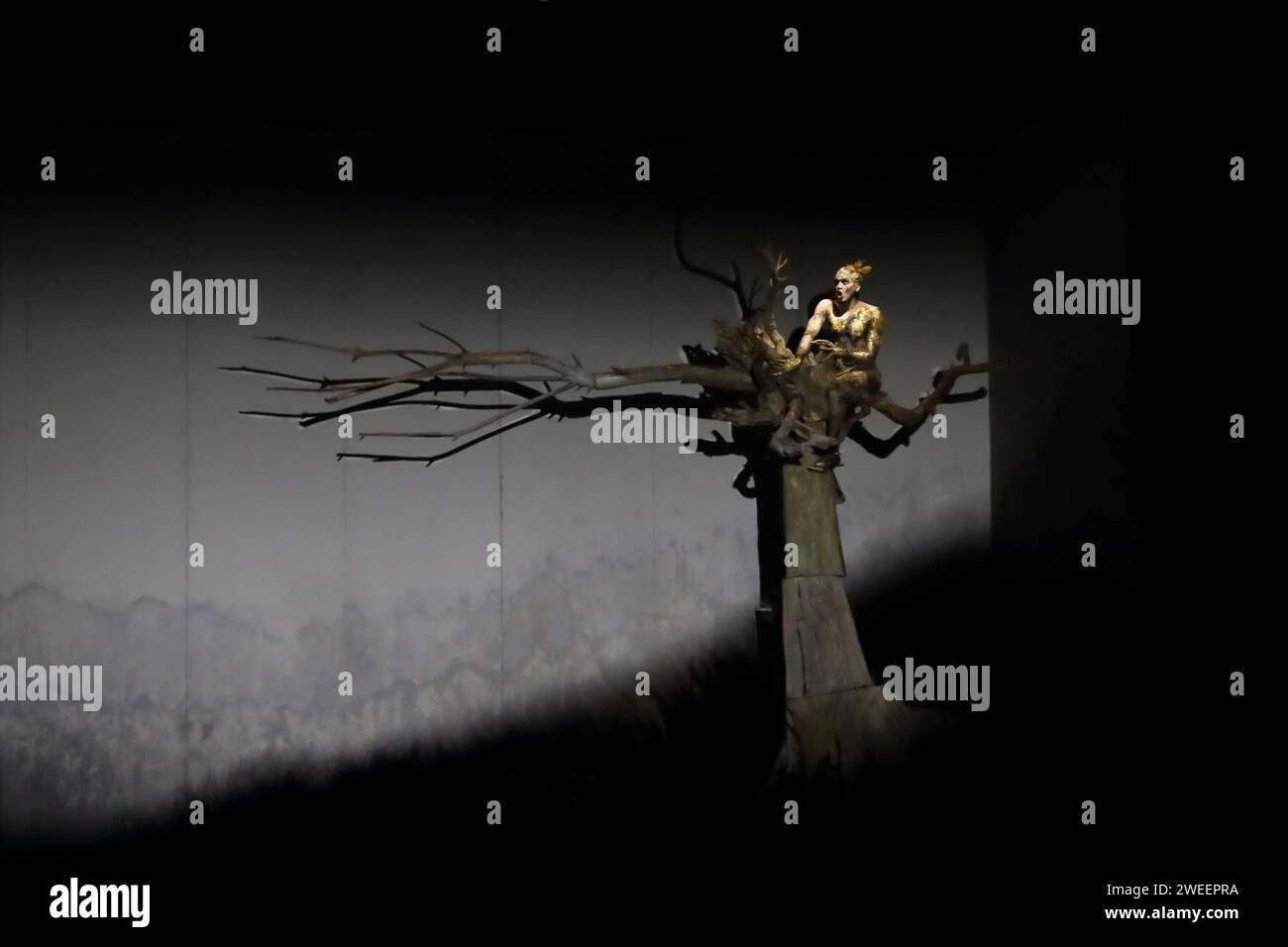 Daniel ojeda yrureta hi-res stock photography and images - Alamy