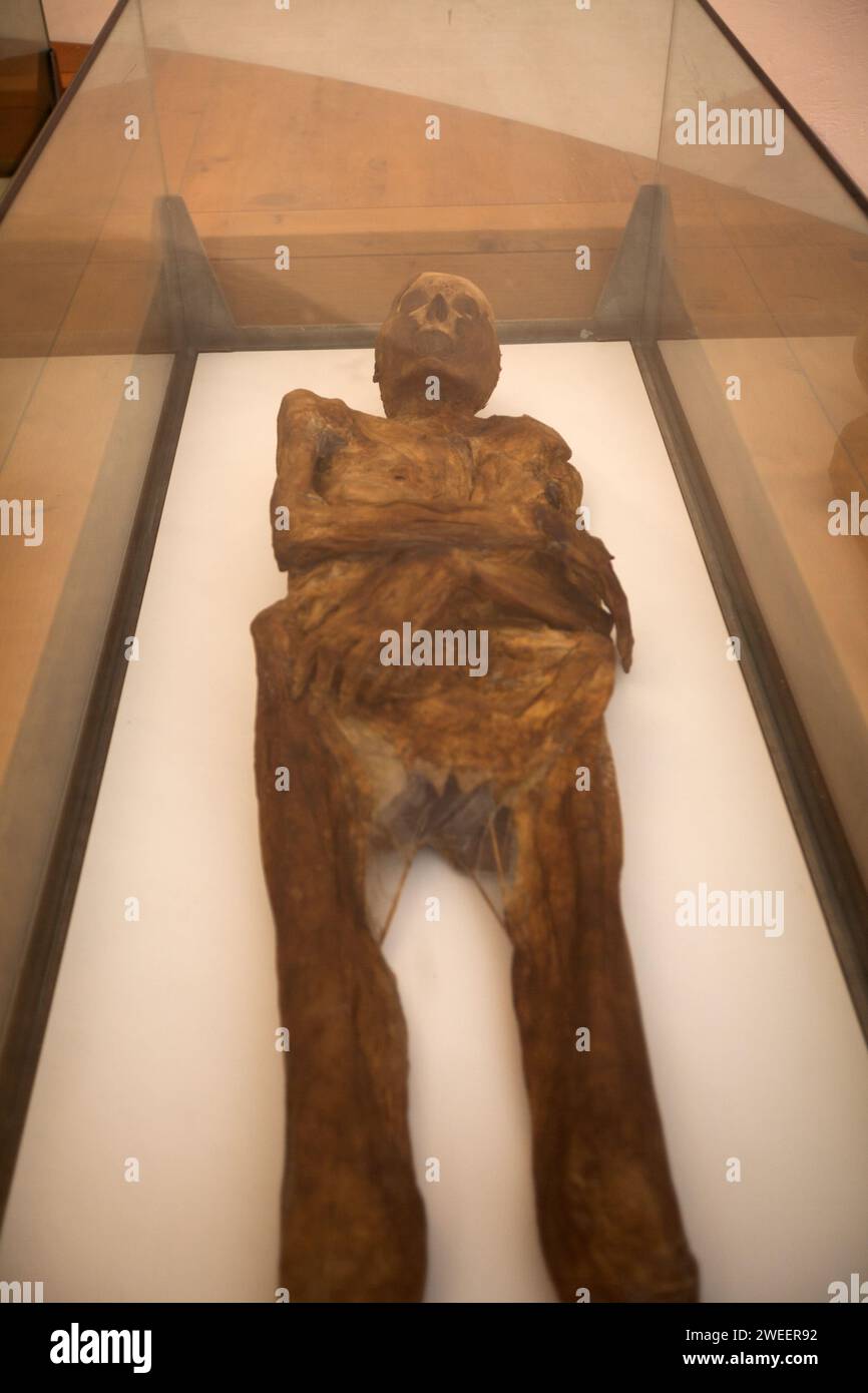 Mummies of venzone hi-res stock photography and images - Alamy