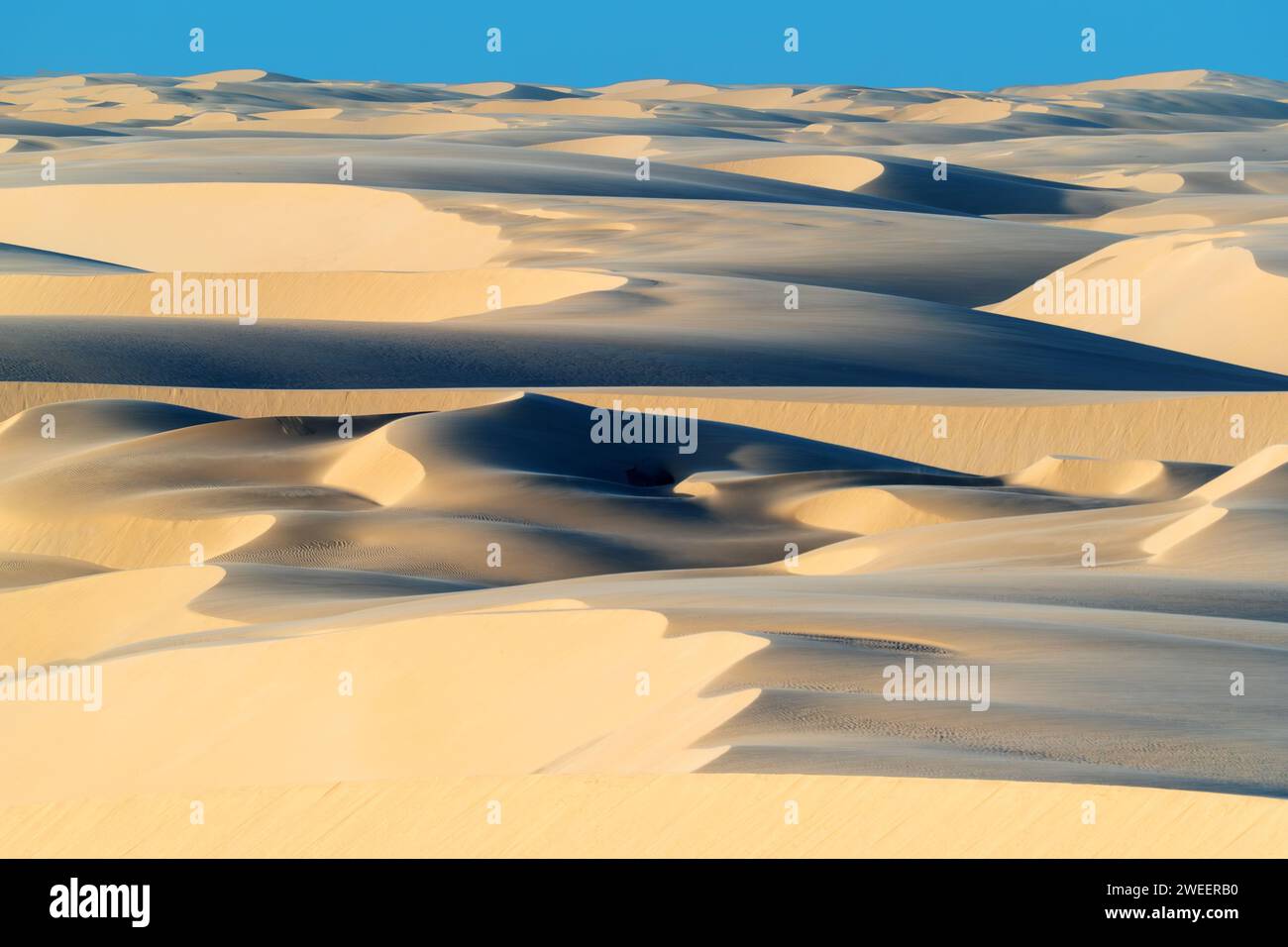 scenic desert dune landscape Lencois Maranhenses National Park - Parque ...