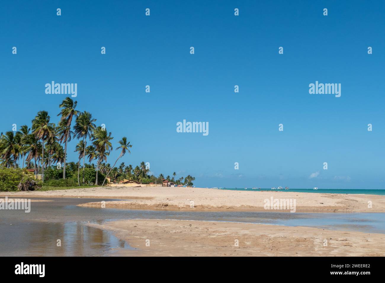 beautiful sandy tropical beach without people at Maracaipe, Brazil ...