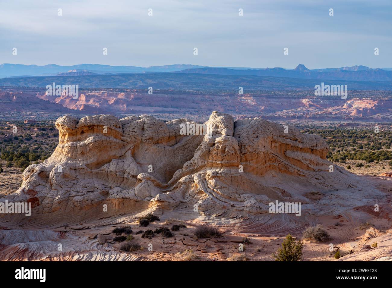 Eroded white pillow rock or brain rock sandstone in the White Pocket ...