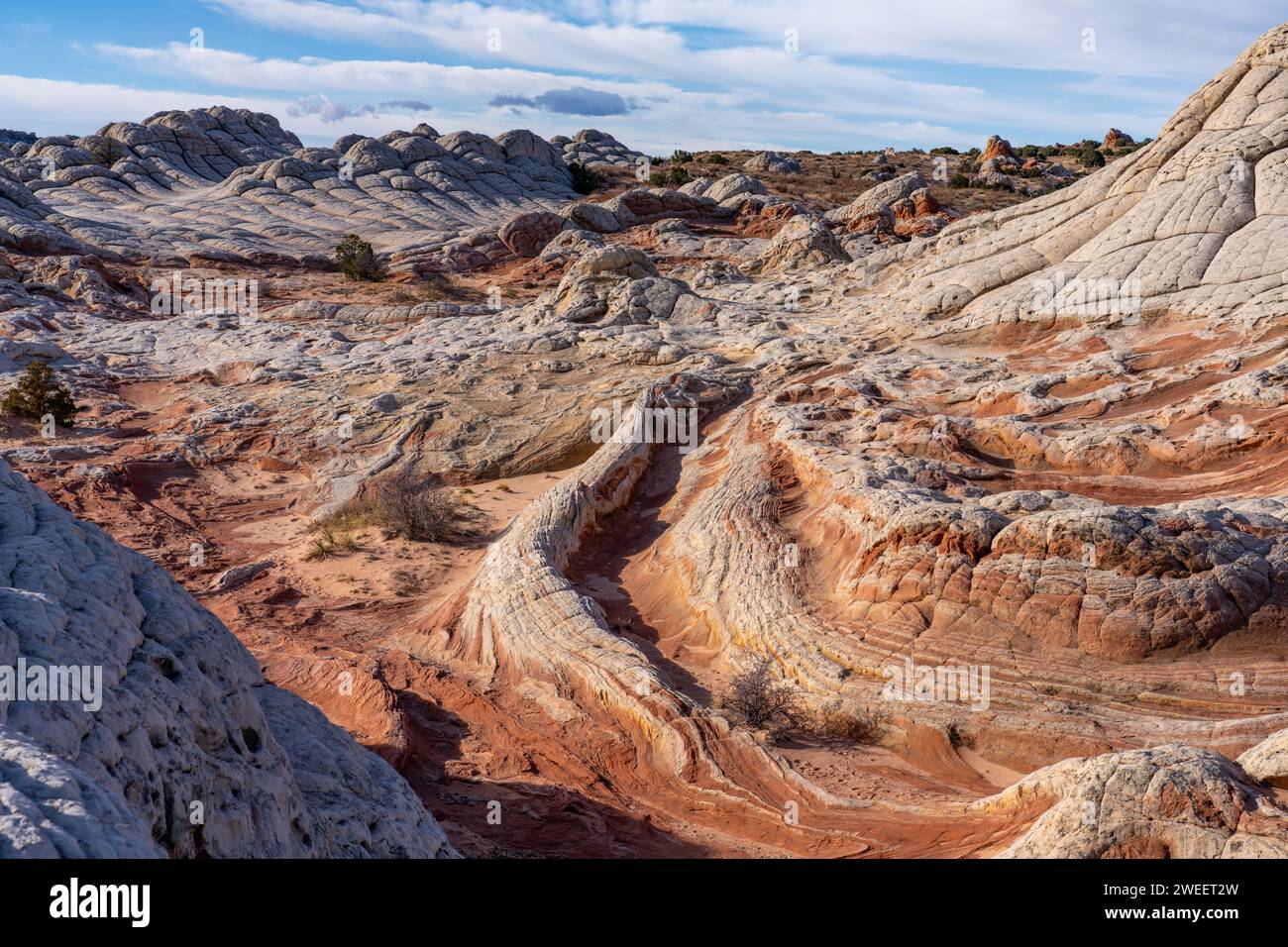 Eroded white pillow rock or brain rock sandstone in the White Pocket ...