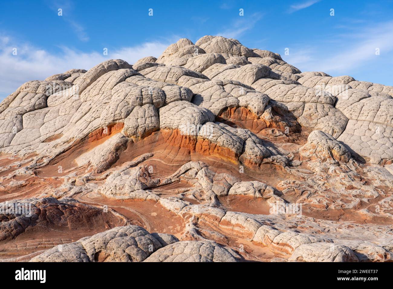 Eroded white pillow rock or brain rock sandstone in the White Pocket ...