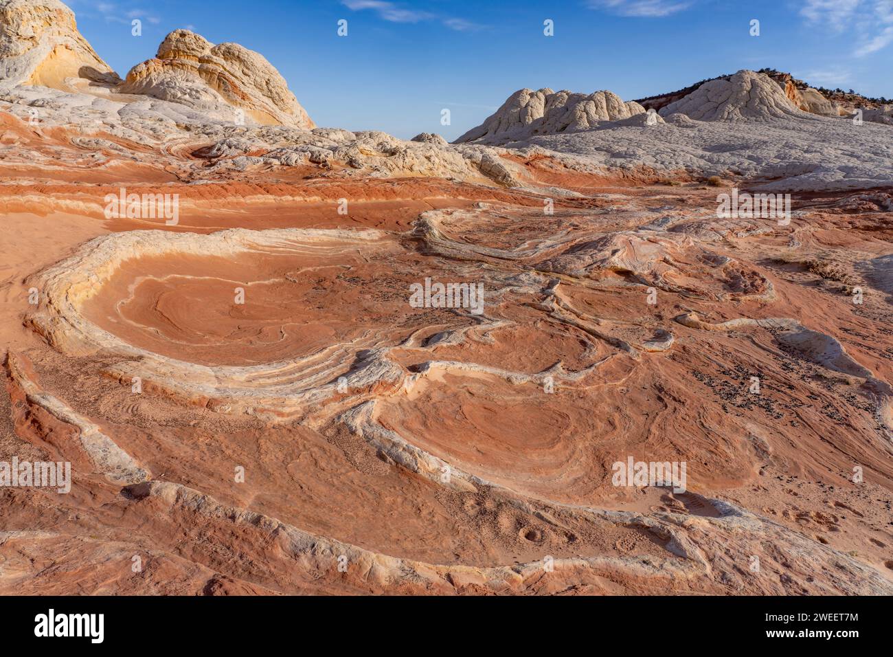 Eroded white pillow rock or brain rock sandstone in the White Pocket ...
