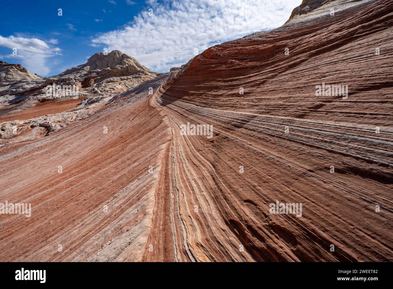 Eroded Navajo sandstone in the White Pocket Recreation Area, Vermilion ...