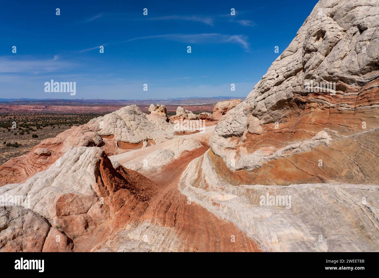 Eroded white pillow rock or brain rock sandstone in the White Pocket ...