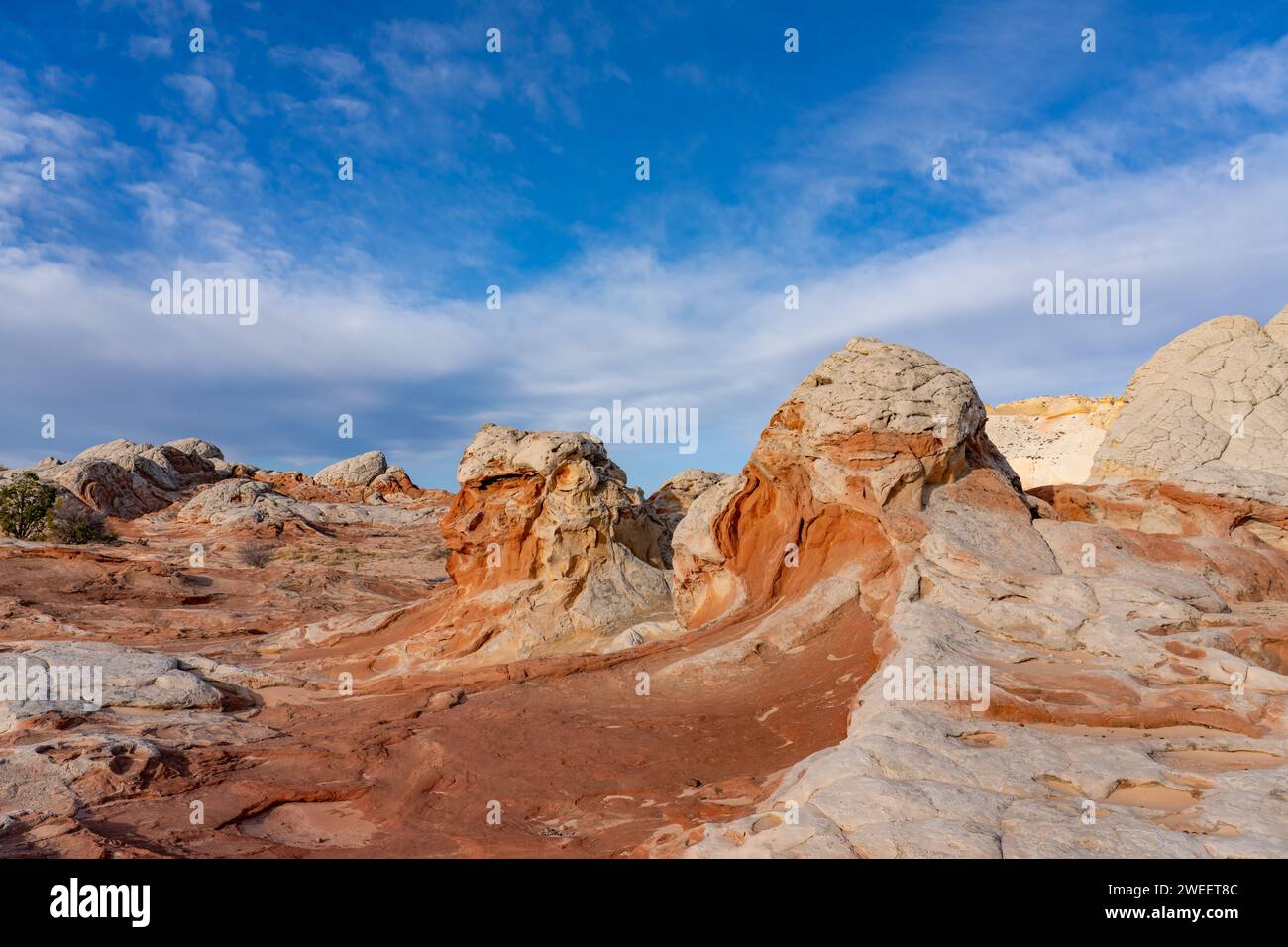 Eroded white pillow rock or brain rock sandstone in the White Pocket ...