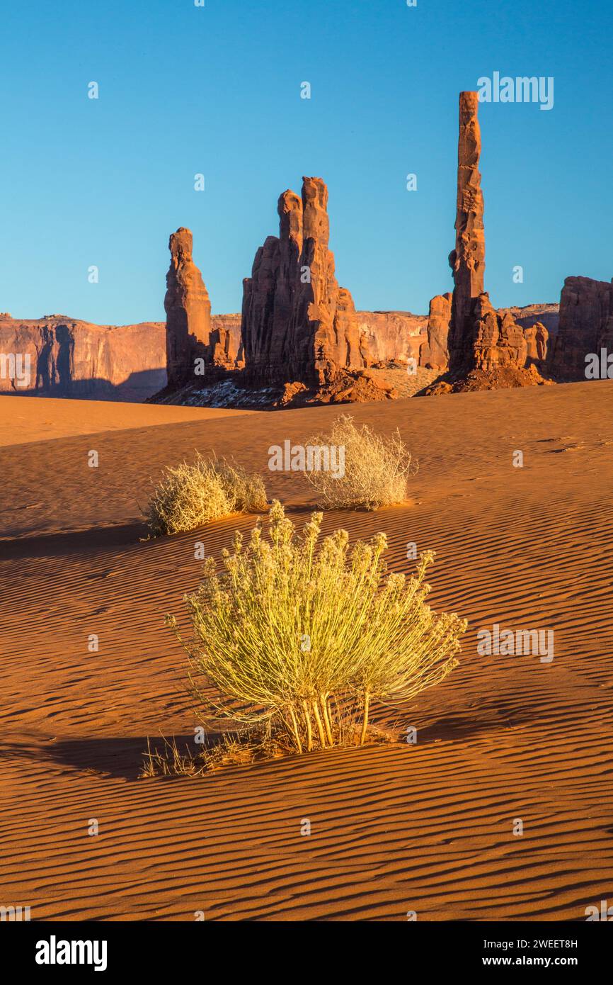The Totem Pole & Yei Bi Chei with rippled sand in the Monument Valley ...