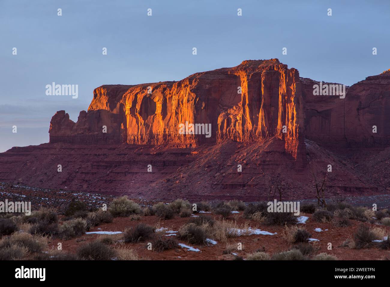 Sentinal one hi-res stock photography and images - Alamy