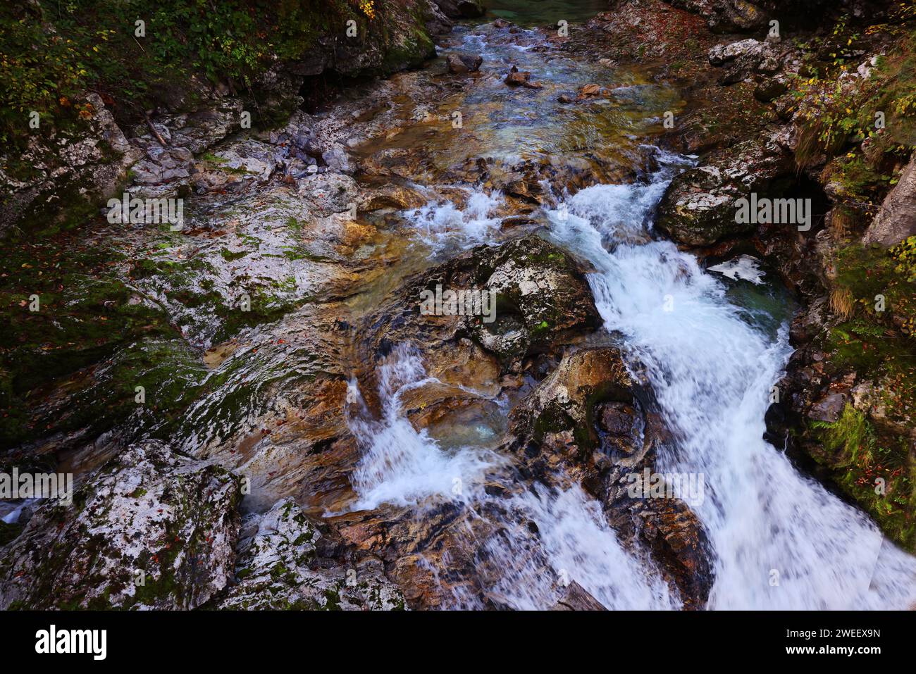 Schlucht, Vintgar, vintgar gorge, Slowenien, Triglav, Bled, Wildwasser ...