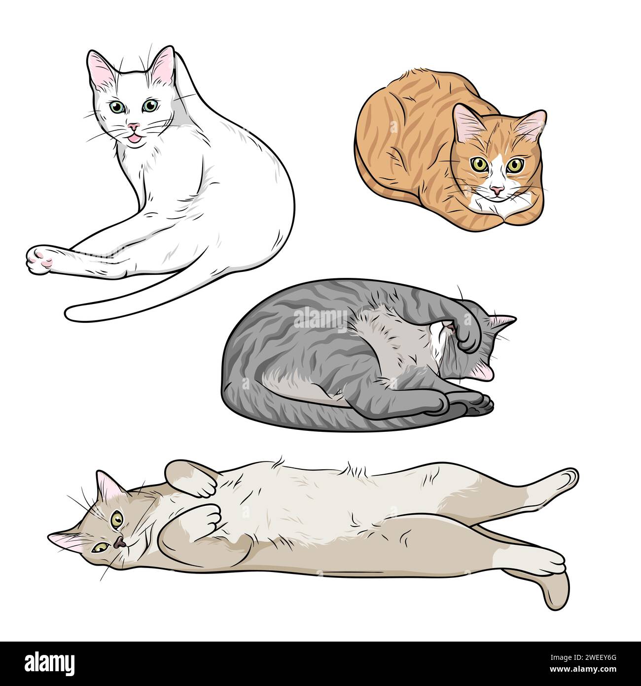 Funny cats in various poses, licking, washing, lying, sleeping, sitting cats Stock Vector Image ...