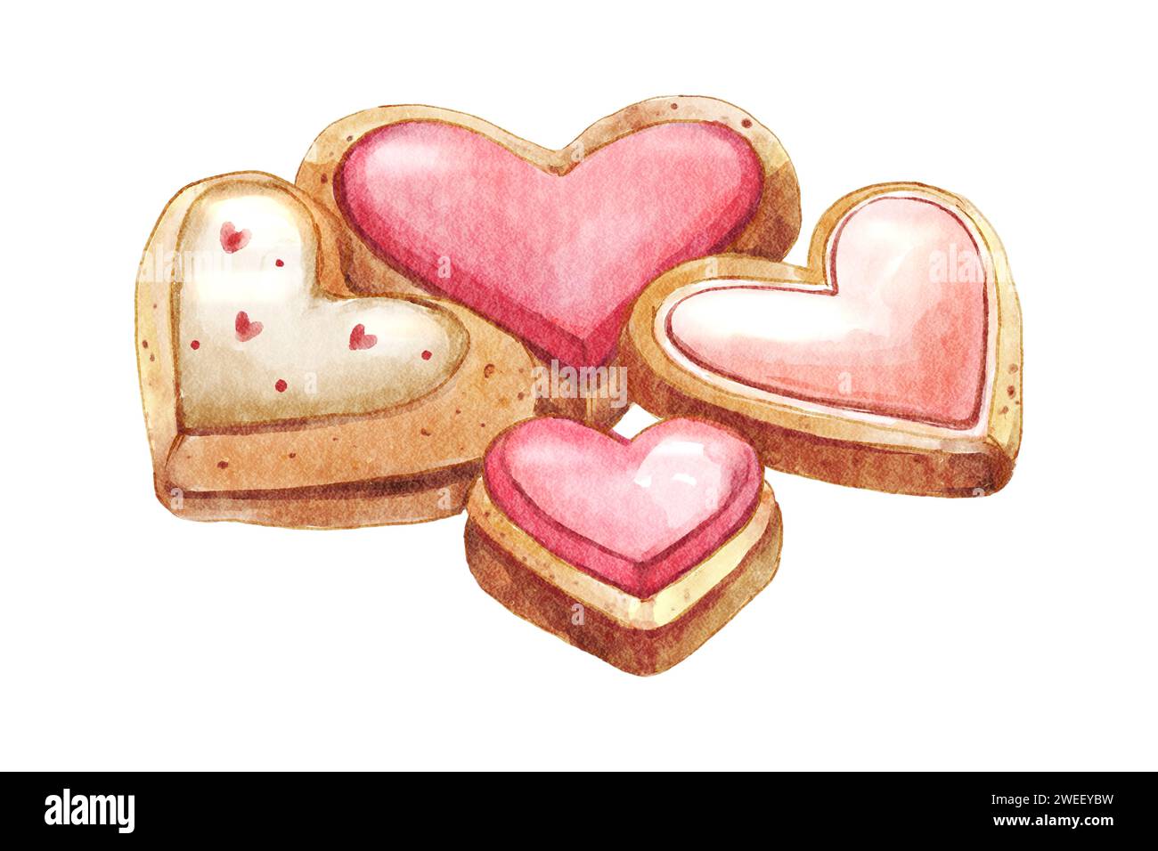 Heart shaped cookies . Valentines day object . Watercolor painting ...