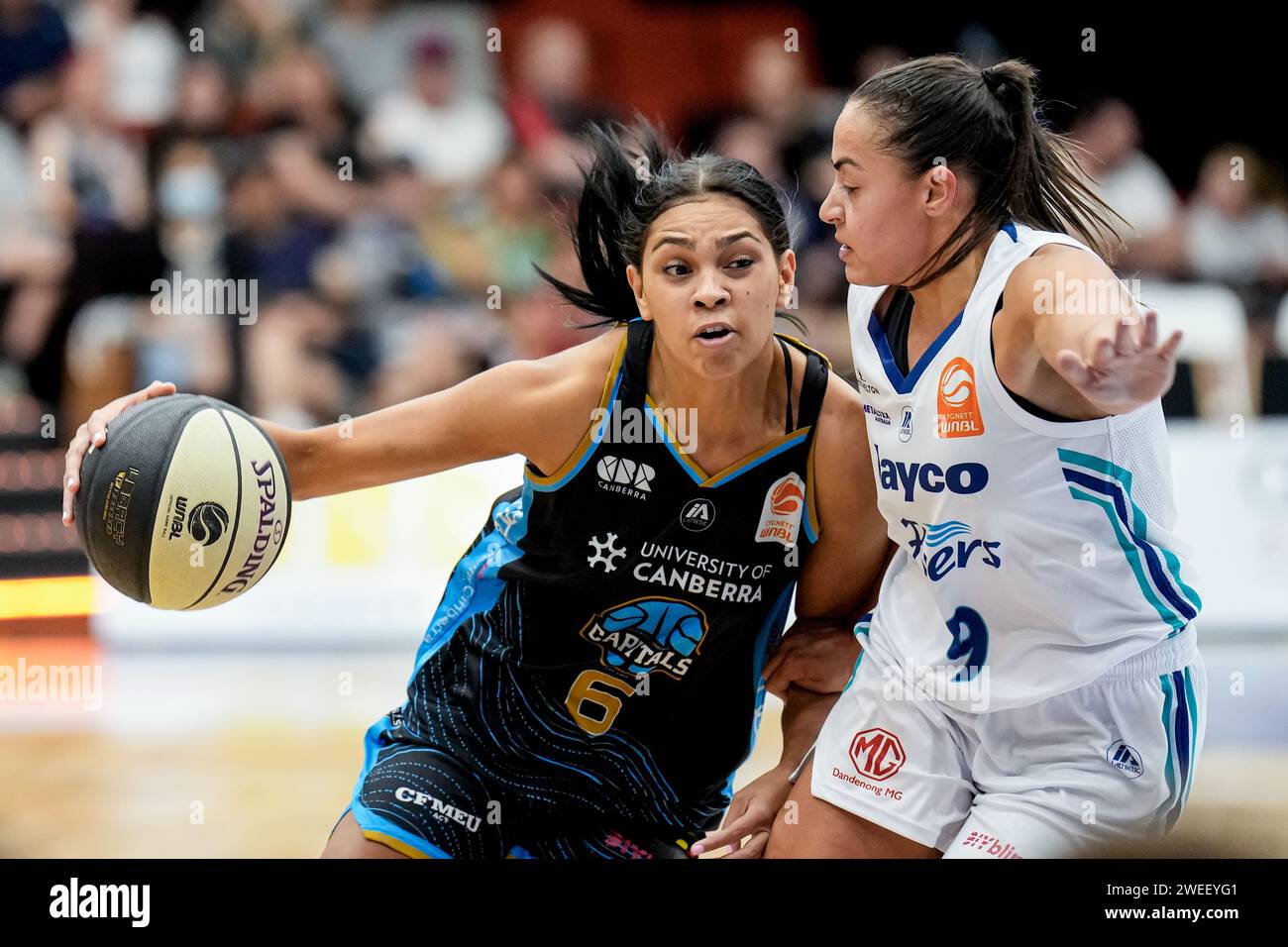 Maddison hi-res stock photography and images - Alamy