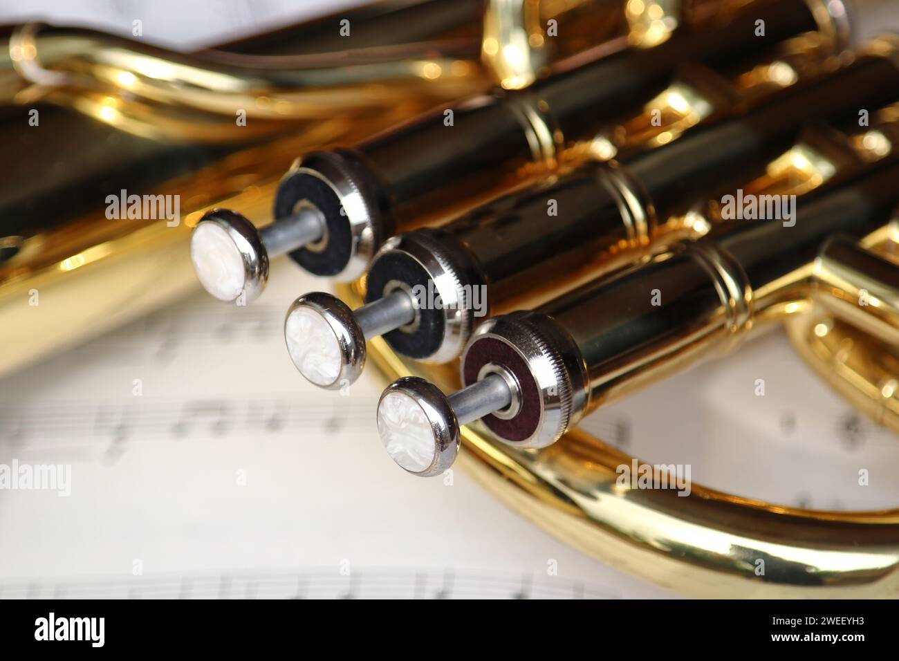 Close Up Of Valves Of A Brass Tenor Horn Musical Instrument Lying On ...