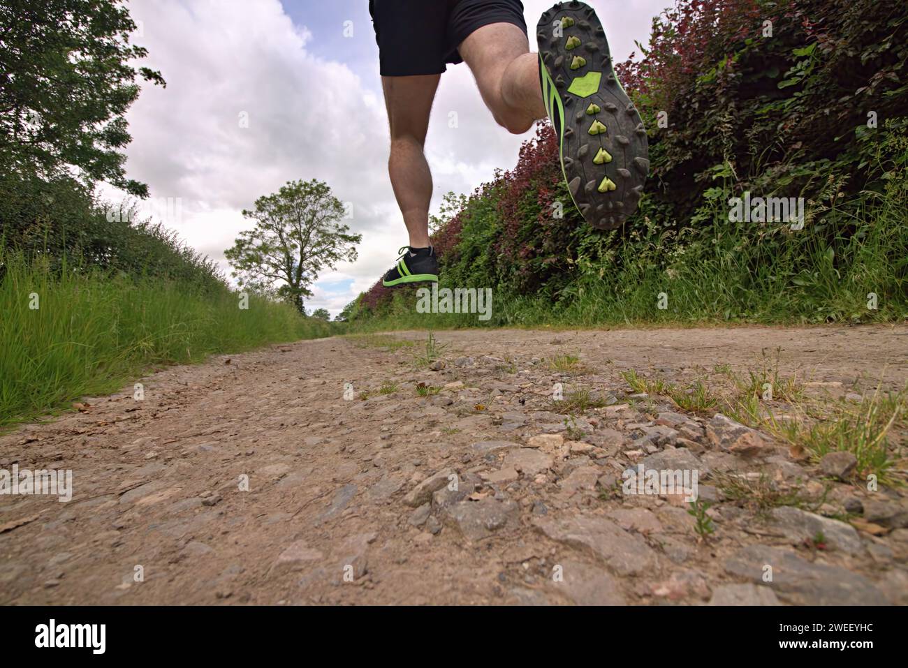 Legs Of A Trail Runner Stock Photo - Alamy