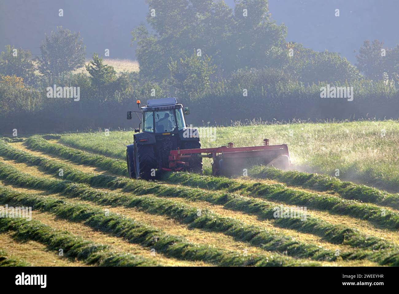 Busy mowing grass hi-res stock photography and images - Alamy