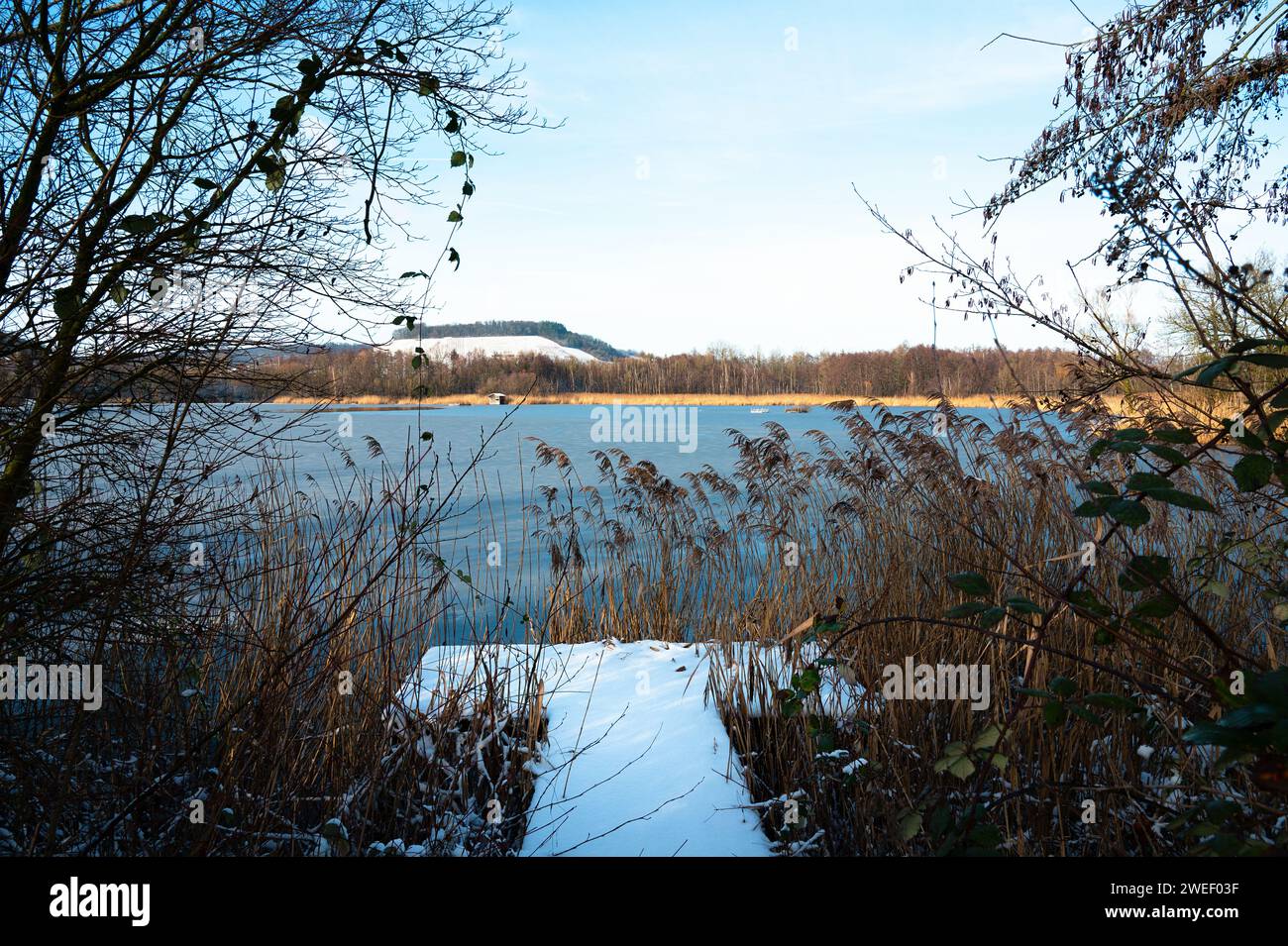 Biodiversity Haff Reimech, wetland and nature reserve in Luxembourg ...