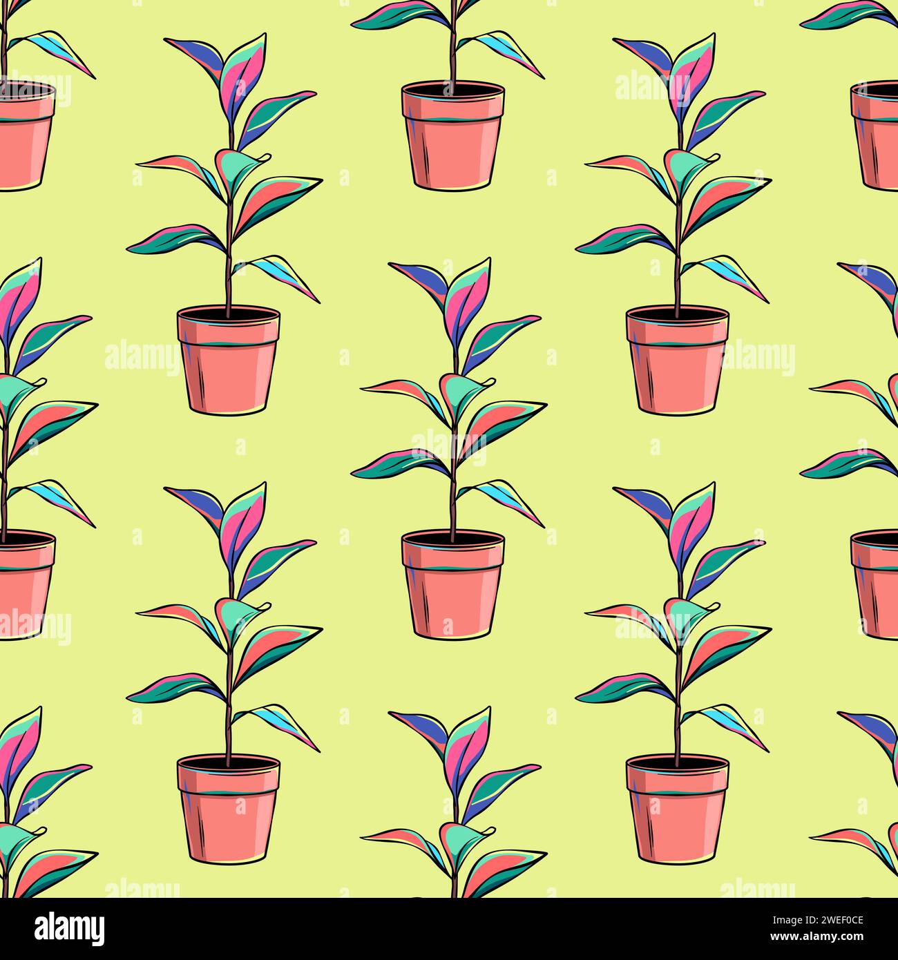 Plant ficus Stock Vector Images - Alamy