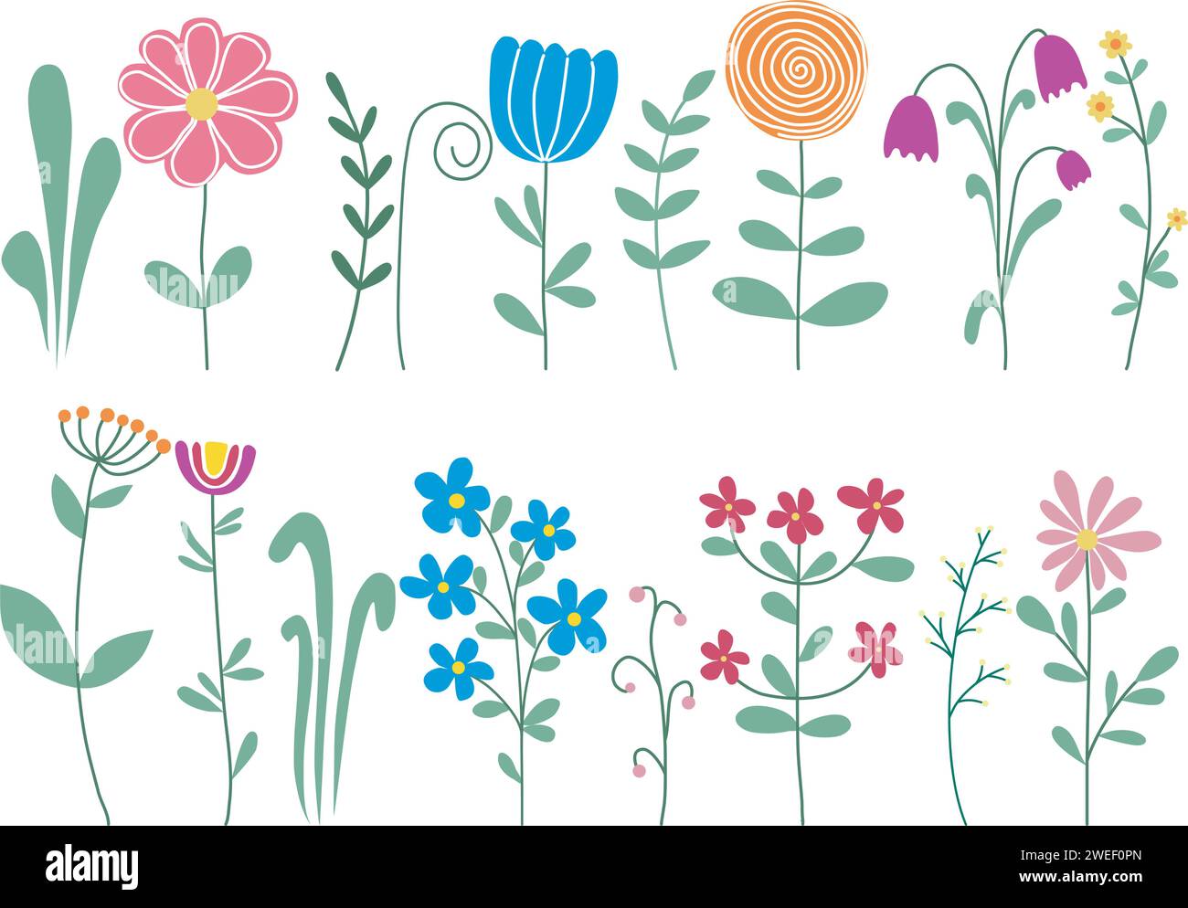 Wildflowers, herbs and foliage set. Hand drawn collection of cute simple spring and summer ...