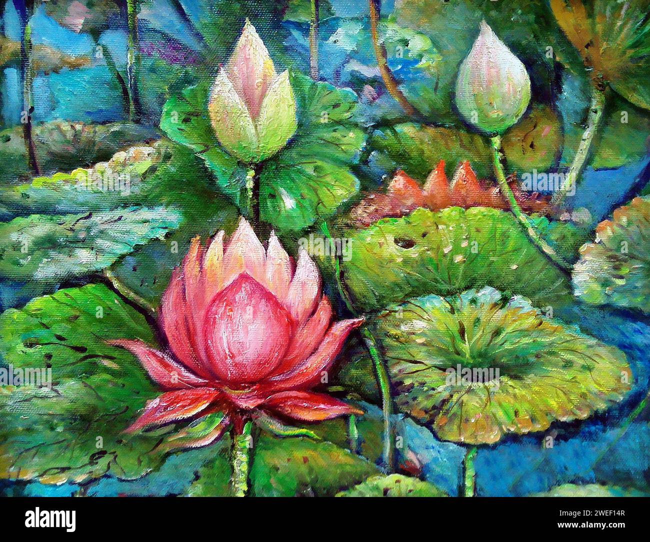 Original oil painting abstract color petal lotus flower and waterlily ...