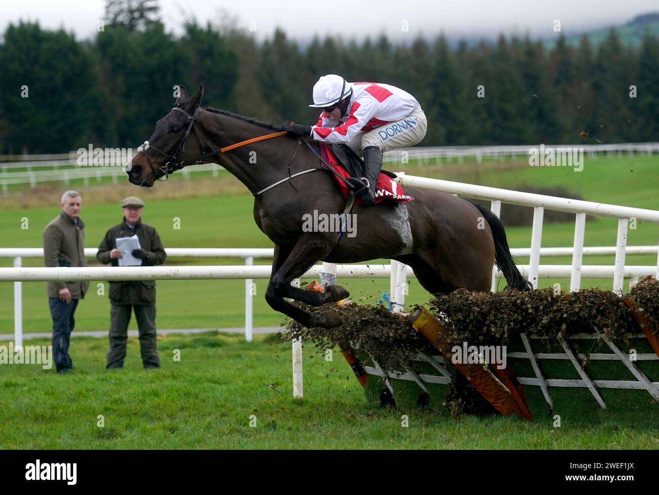 Champagne Mahler ridden by Darragh O'Keeffe on the way to winning the ...