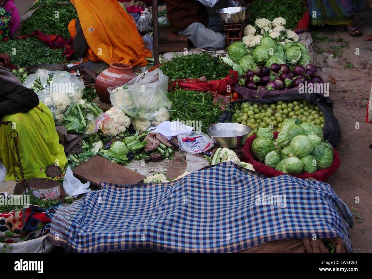 vegetable is food without meat for cooking vegetables are a healthy ...