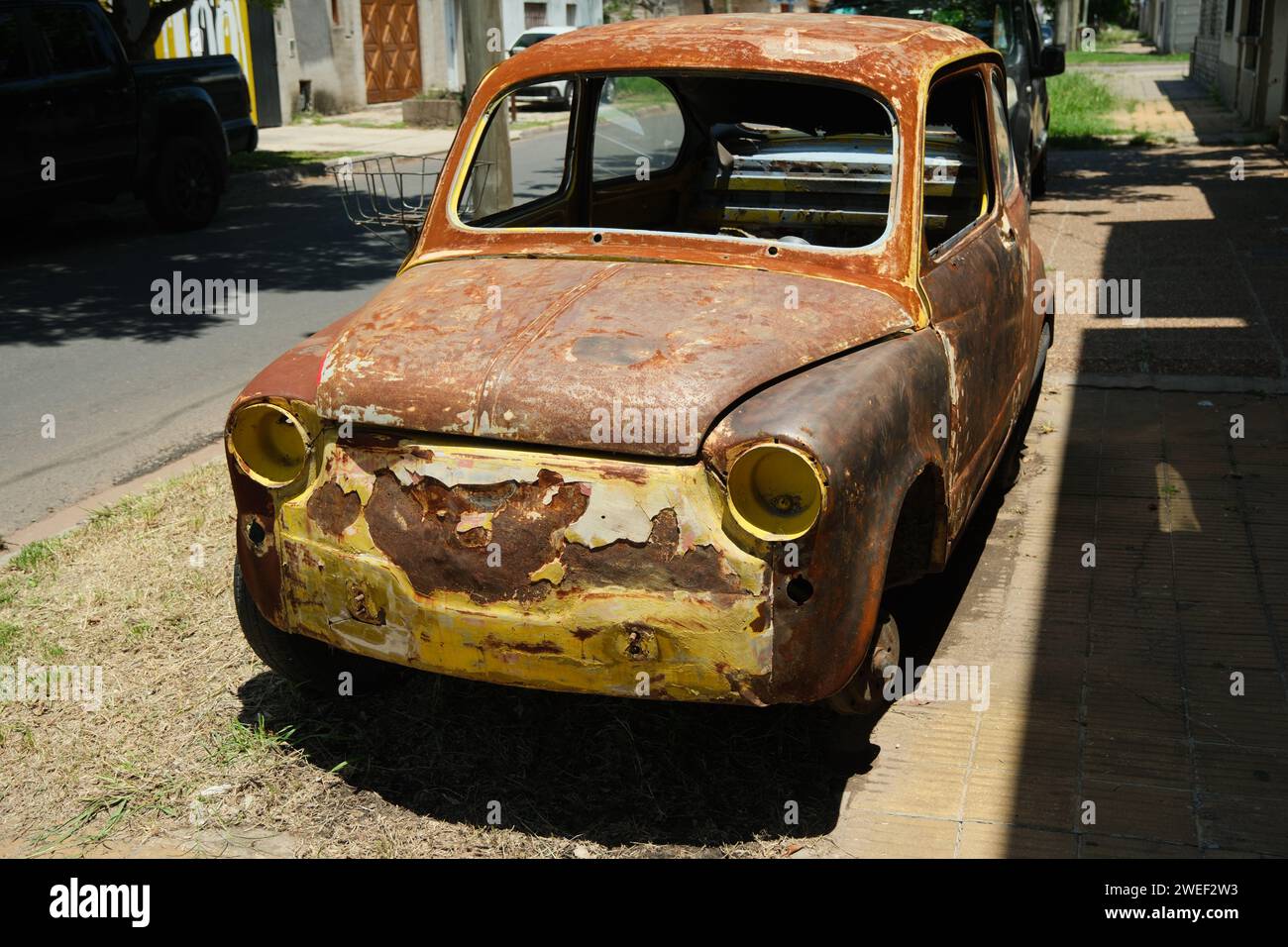 Australian fire beetle hi-res stock photography and images - Alamy