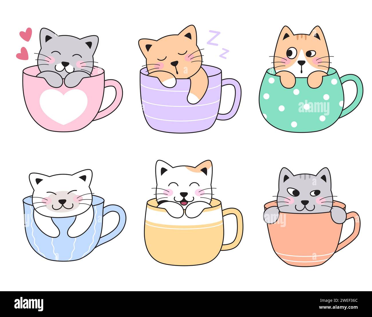 Cute cats, kittens in tea, coffee cups, mugs. Sleeping, hiding, happy ...