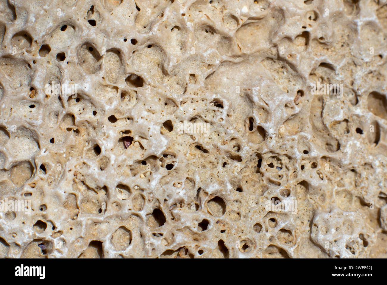 stone texture made from wrinkled borers Stock Photo - Alamy