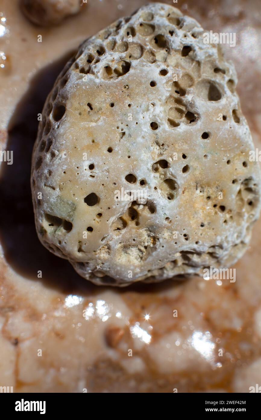 stone texture made from wrinkled borers Stock Photo - Alamy