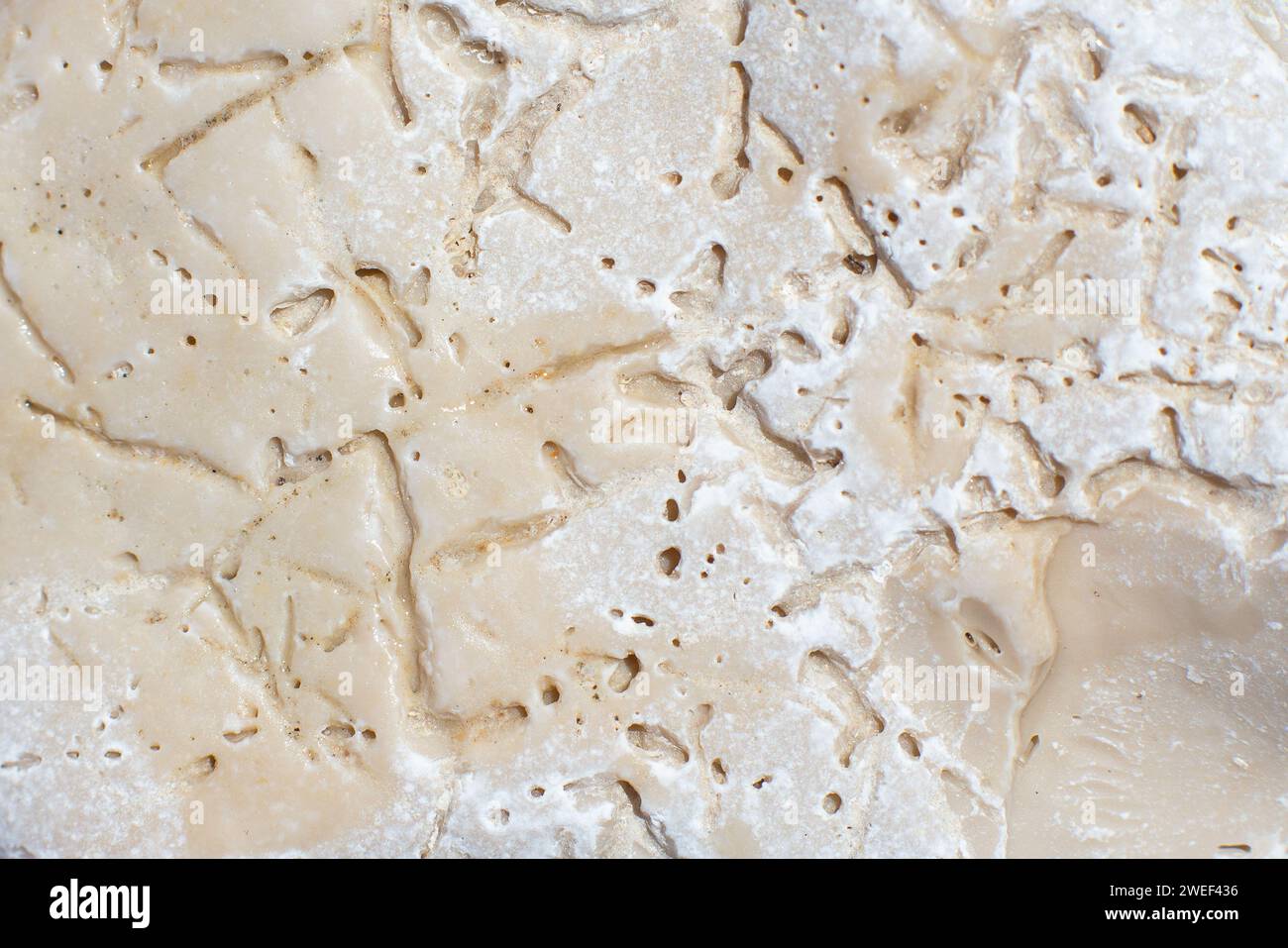 Stone borers hi-res stock photography and images - Alamy