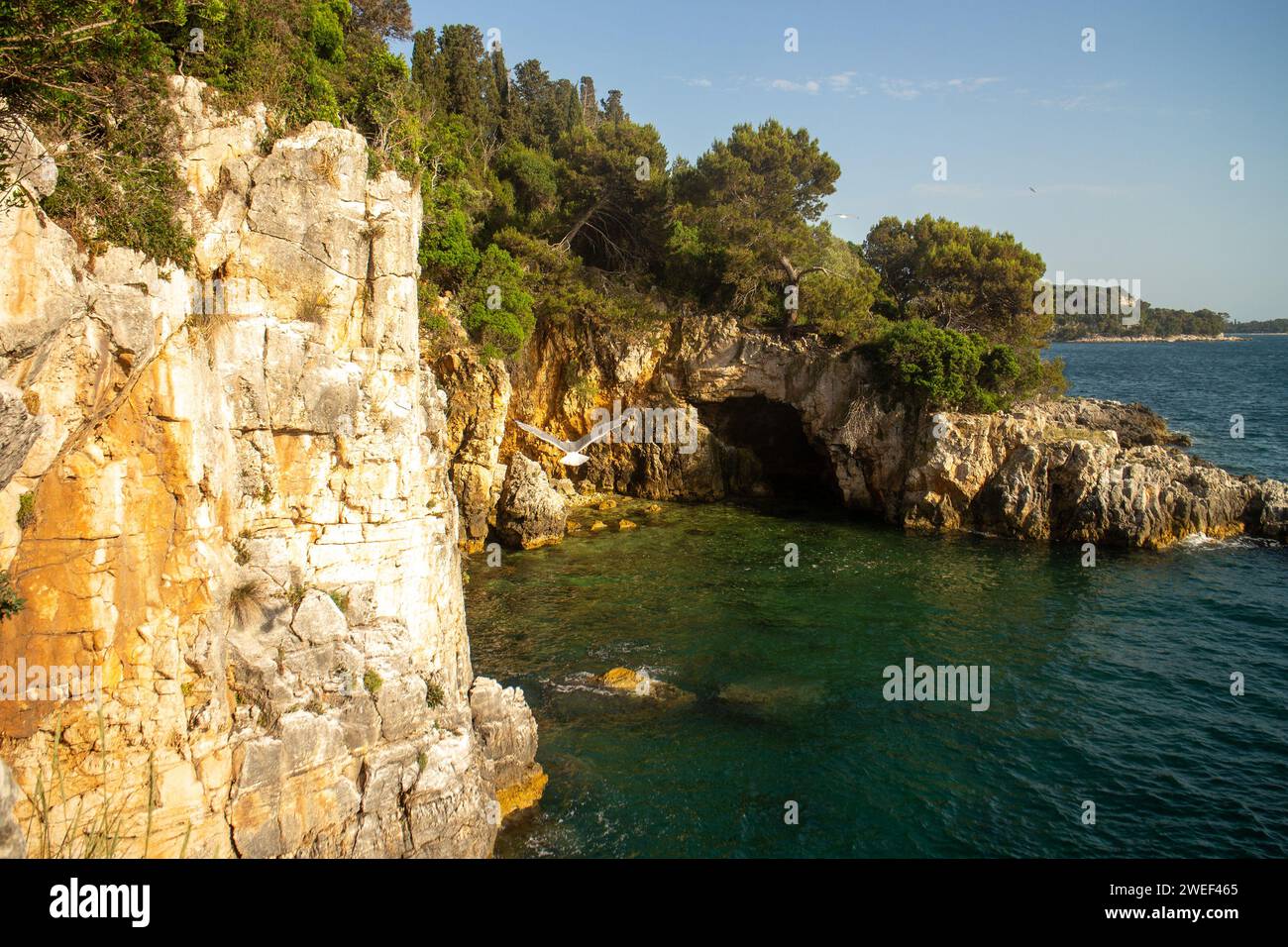 Rovinj, Croatia rocks next to the sea with entrance to cave Stock Photo ...