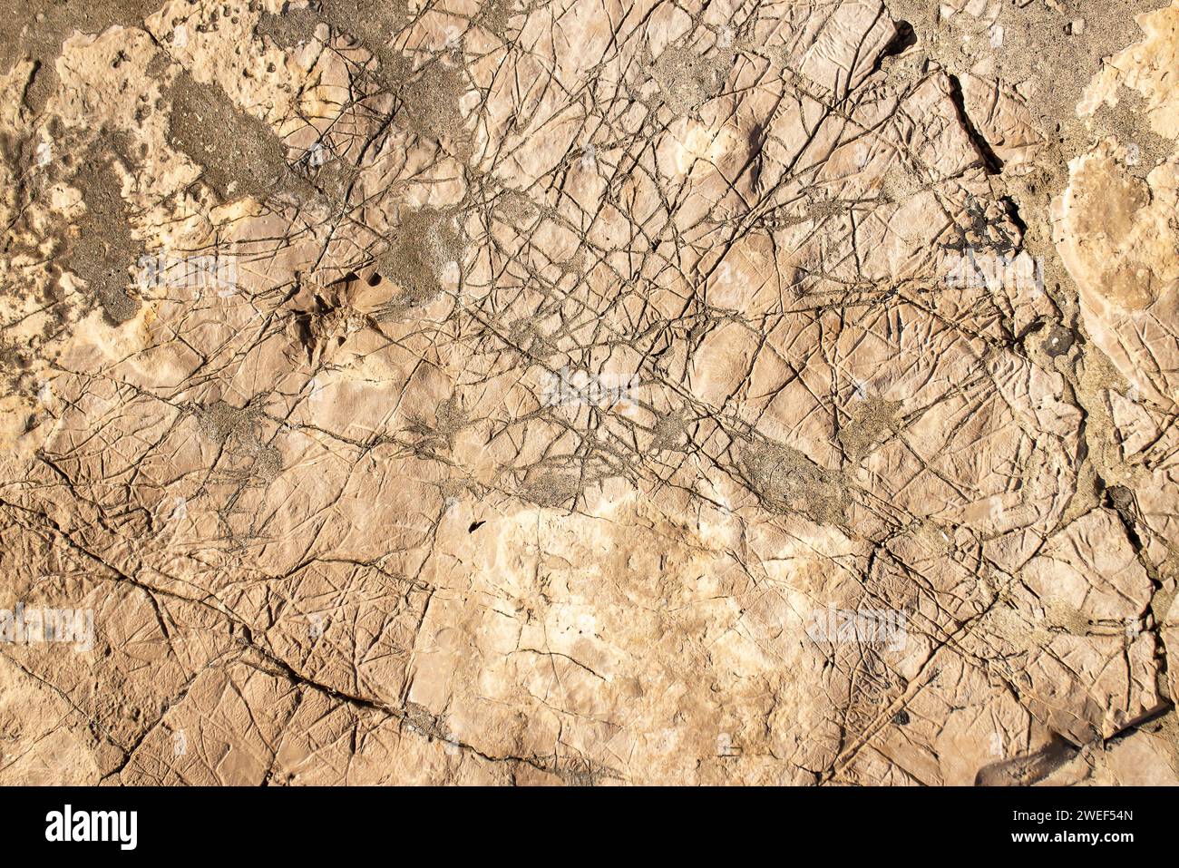 Tropical weathering hi-res stock photography and images - Alamy