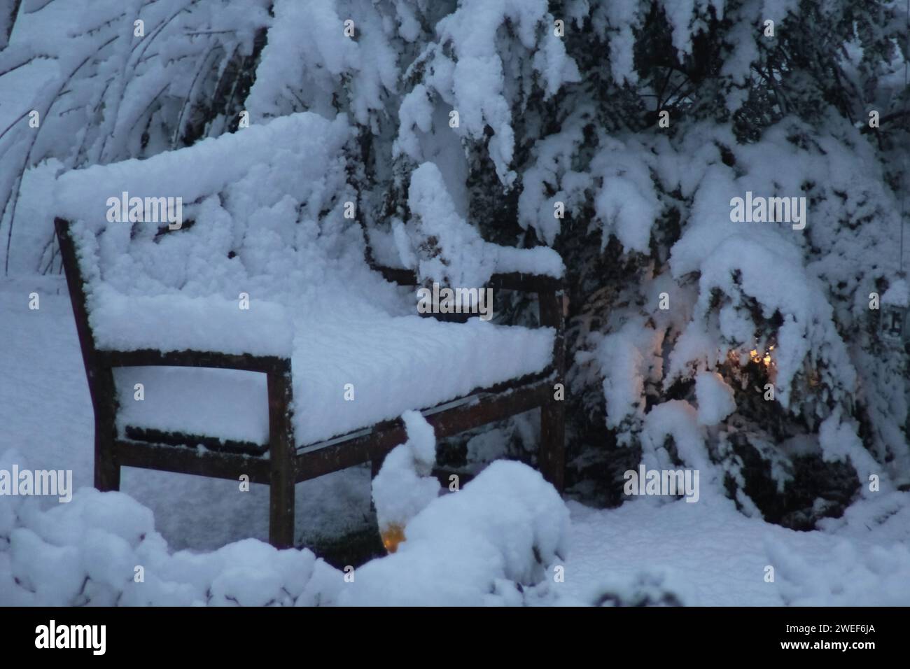 Bench in Winter Stock Photo - Alamy