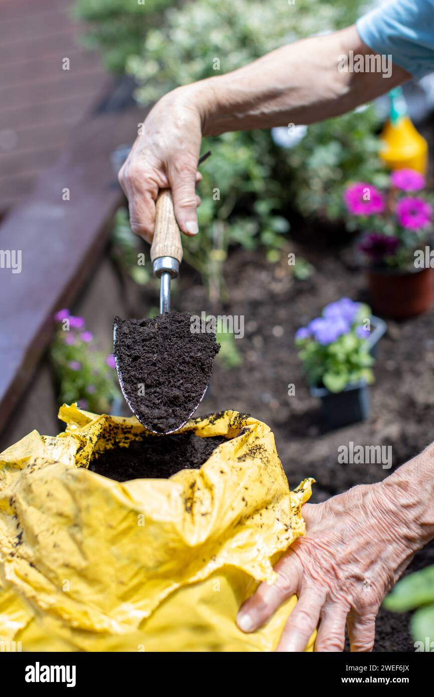 putting soil fertilizer into home garden Stock Photo - Alamy