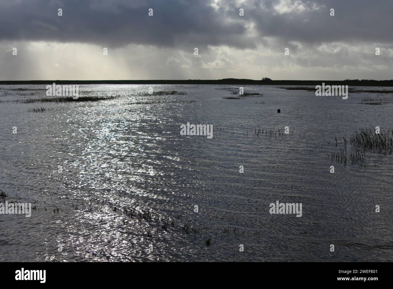 Rain regen hi-res stock photography and images - Alamy