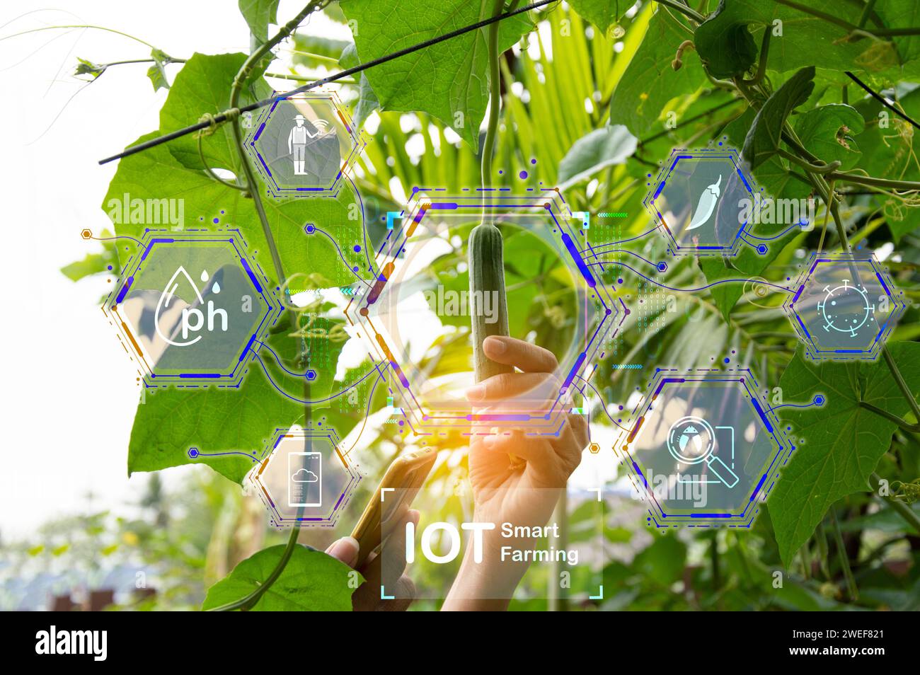 The concept of using AI and smart farming Stock Photo - Alamy