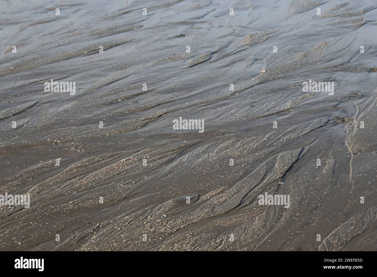 Beach ripple hi-res stock photography and images - Alamy