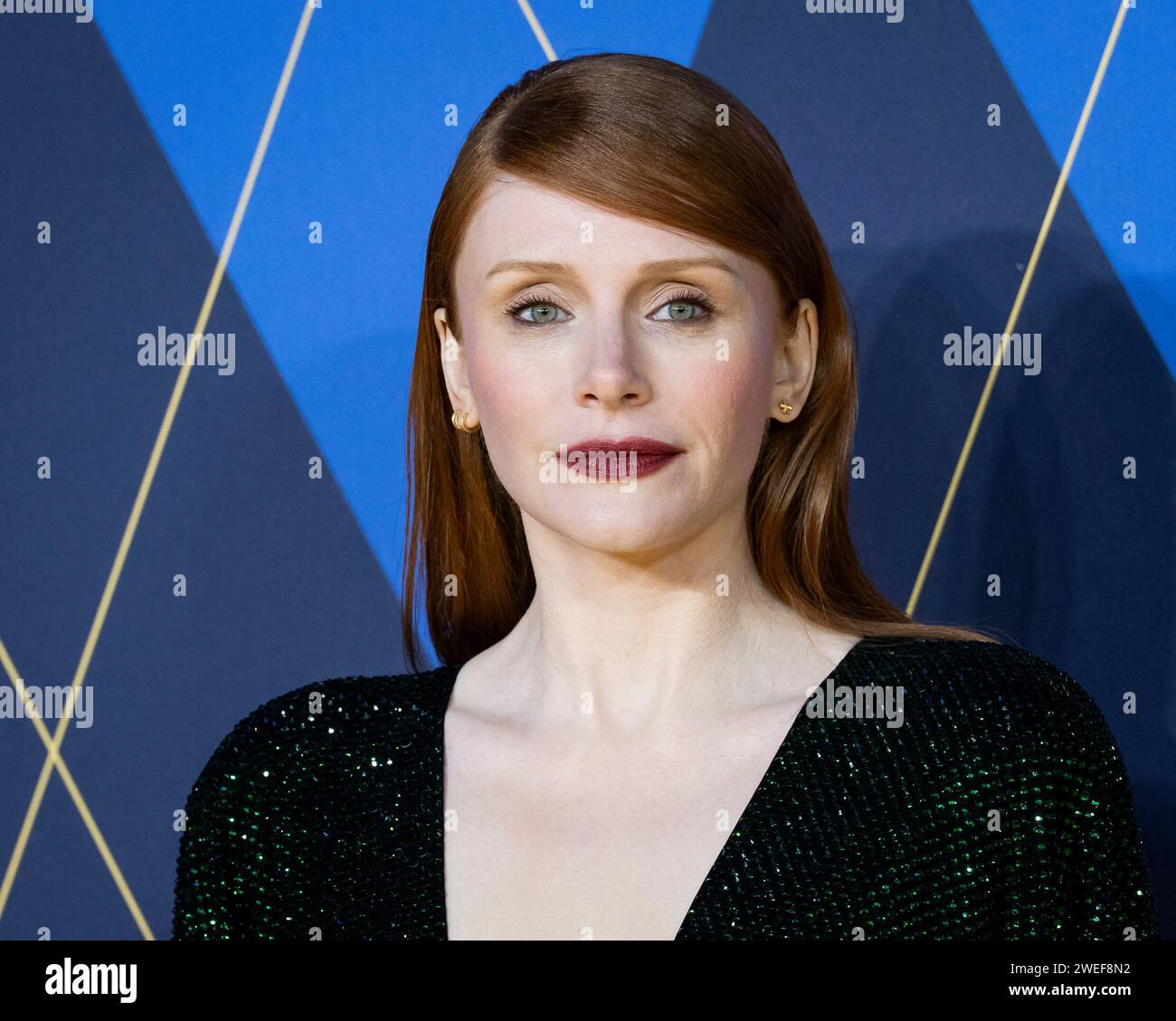 Bryce Dallas Howard poses for photographers upon arrival at the World ...