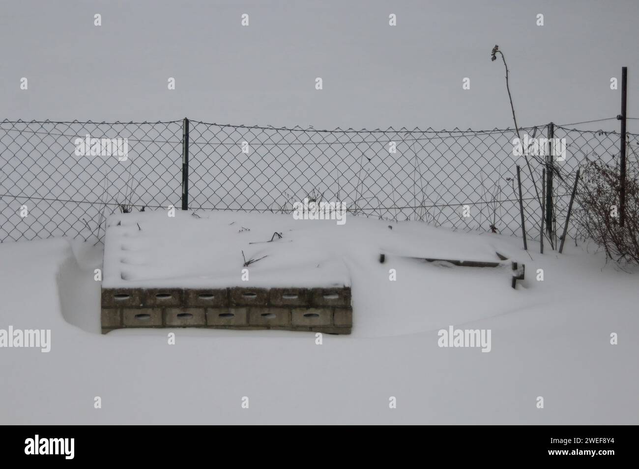 Snow in the Backyard Stock Photo - Alamy