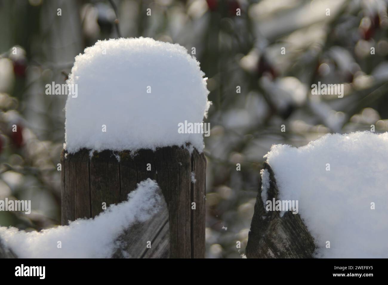 Snow on the fence hi-res stock photography and images - Alamy