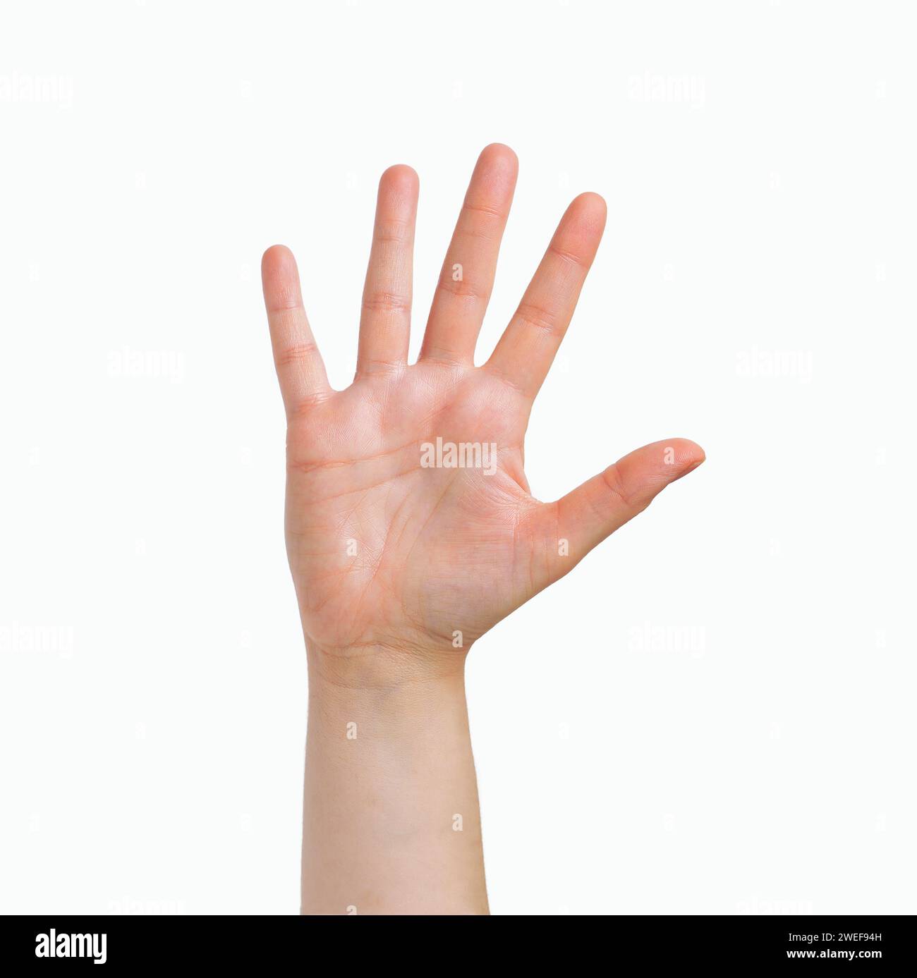 Woman palm hand in front isolated on white Stock Photo - Alamy