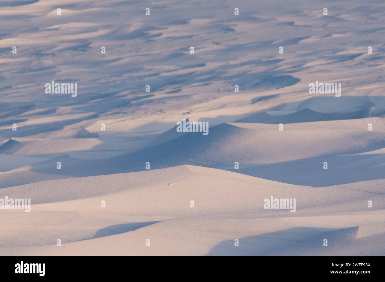 Small drifts of snow made hard by blizzard winds, 1002 coastal plain of ...