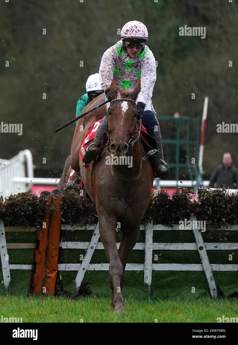 Monkfish ridden by Paul Townend on the way to winning the John Mulhern ...